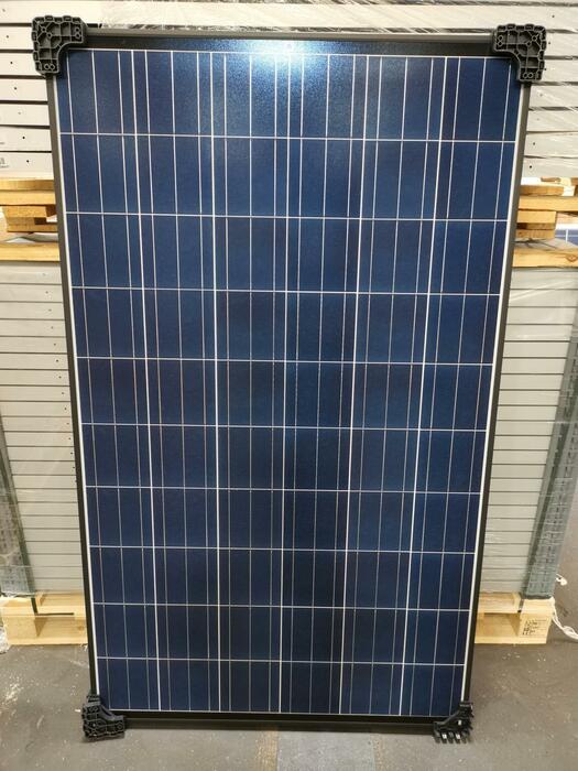 PV-Module - Astronergy Deutschland - ASM6610P-260 (Black Frame) - 260Wp ...