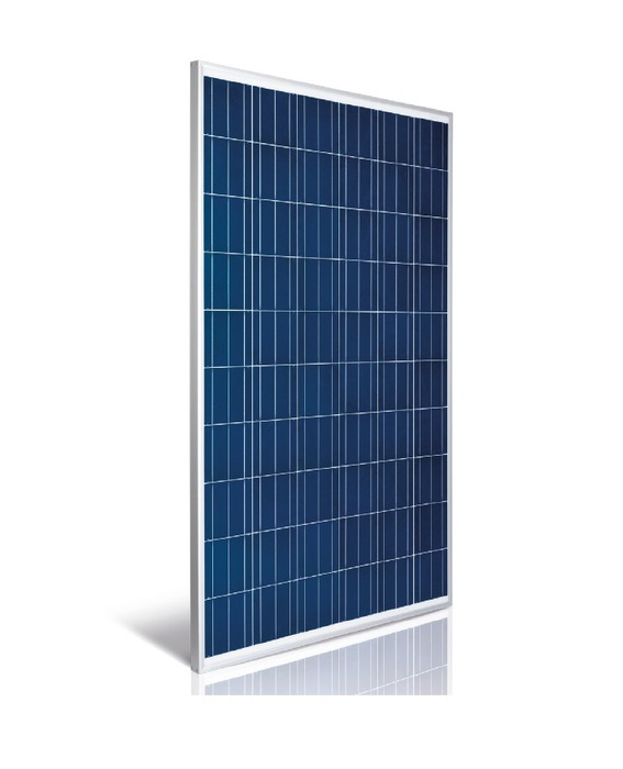 Solar Panel - Astronergy / Chint Solar - ASM6610P 240Wp - C-Ware ...